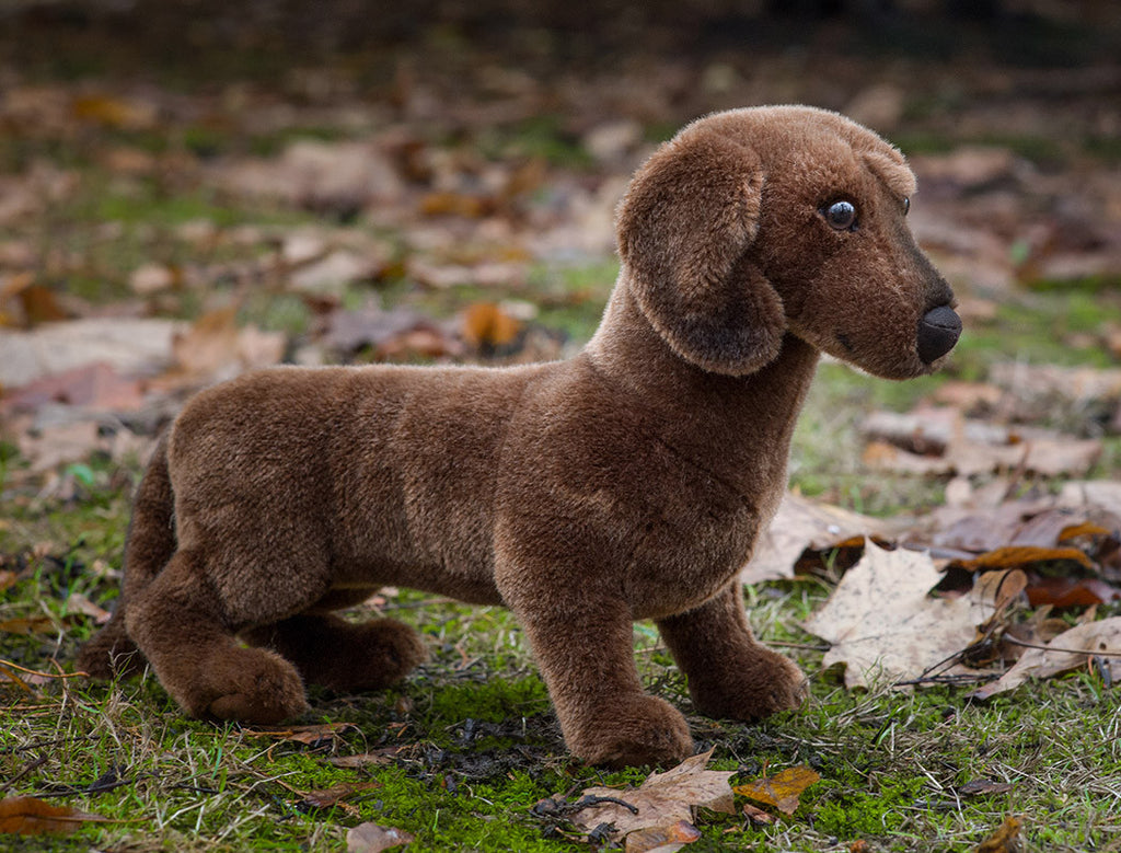 Smooth-Haired Dachshund by Kosen - 36cm - The Bear Garden